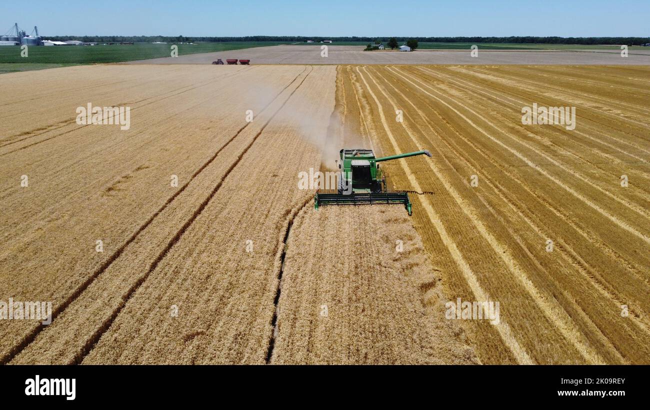 Combine Harvesting Wheat Stock Photo - Alamy