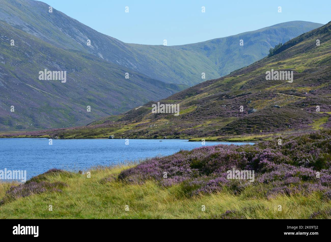 Scottish rights of way act hi-res stock photography and images - Alamy