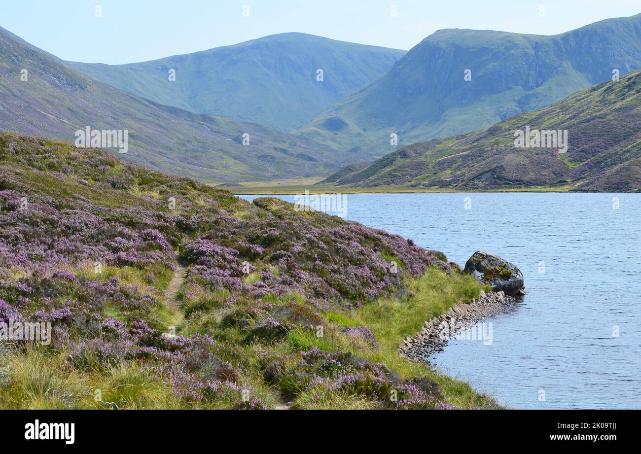 Loch Callater near Braemar, a Site of Special Scientific Interest ...