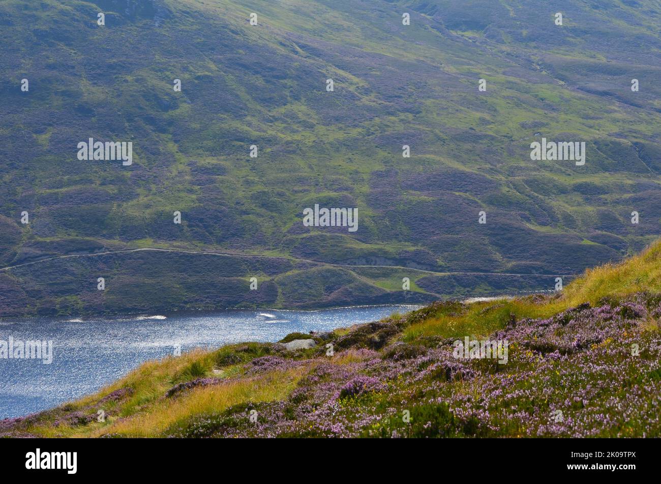 Loch Callater near Braemar, a Site of Special Scientific Interest ...