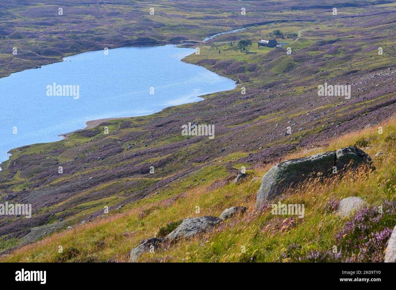 Loch Callater near Braemar, a Site of Special Scientific Interest ...