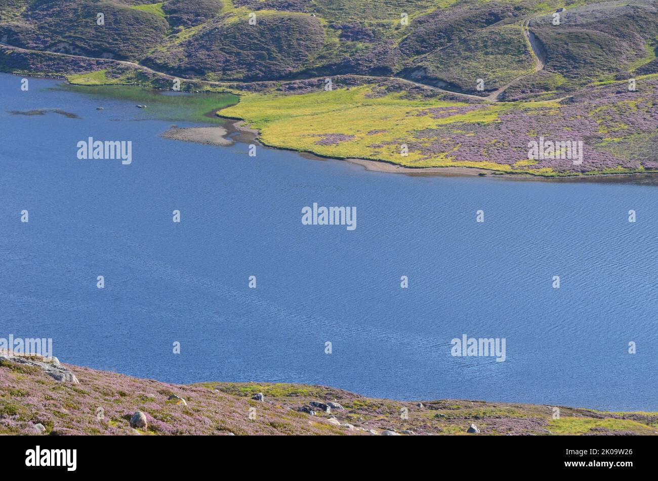 Loch Callater near Braemar, a Site of Special Scientific Interest ...