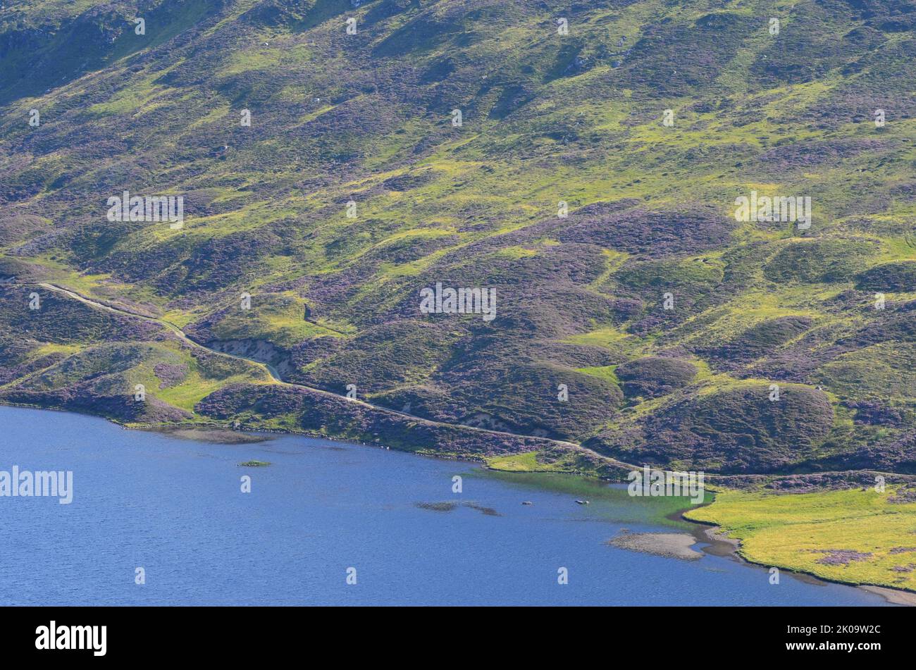 Loch Callater near Braemar, a Site of Special Scientific Interest ...