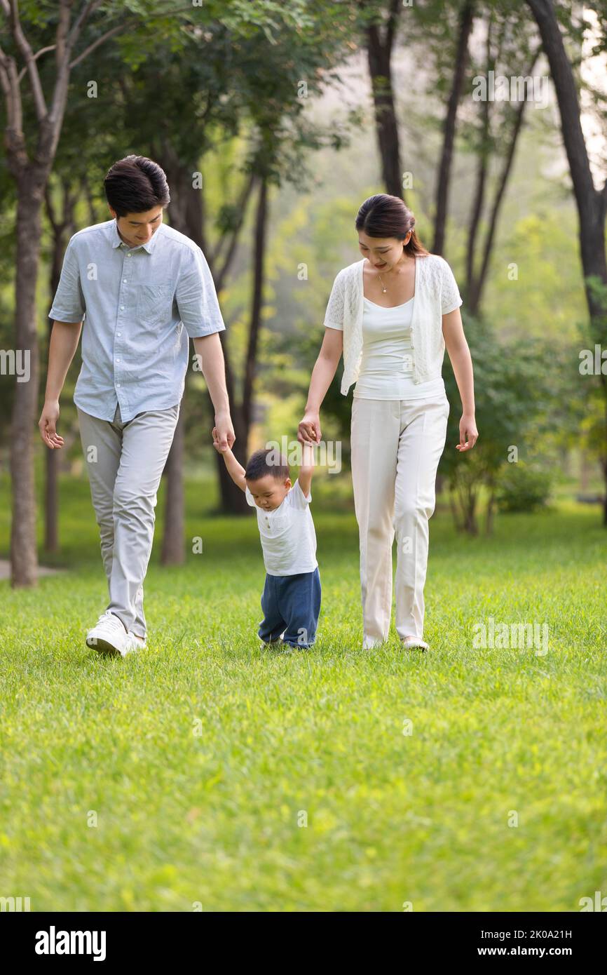 Young Chinese parents playing with baby in park Stock Photo - Alamy