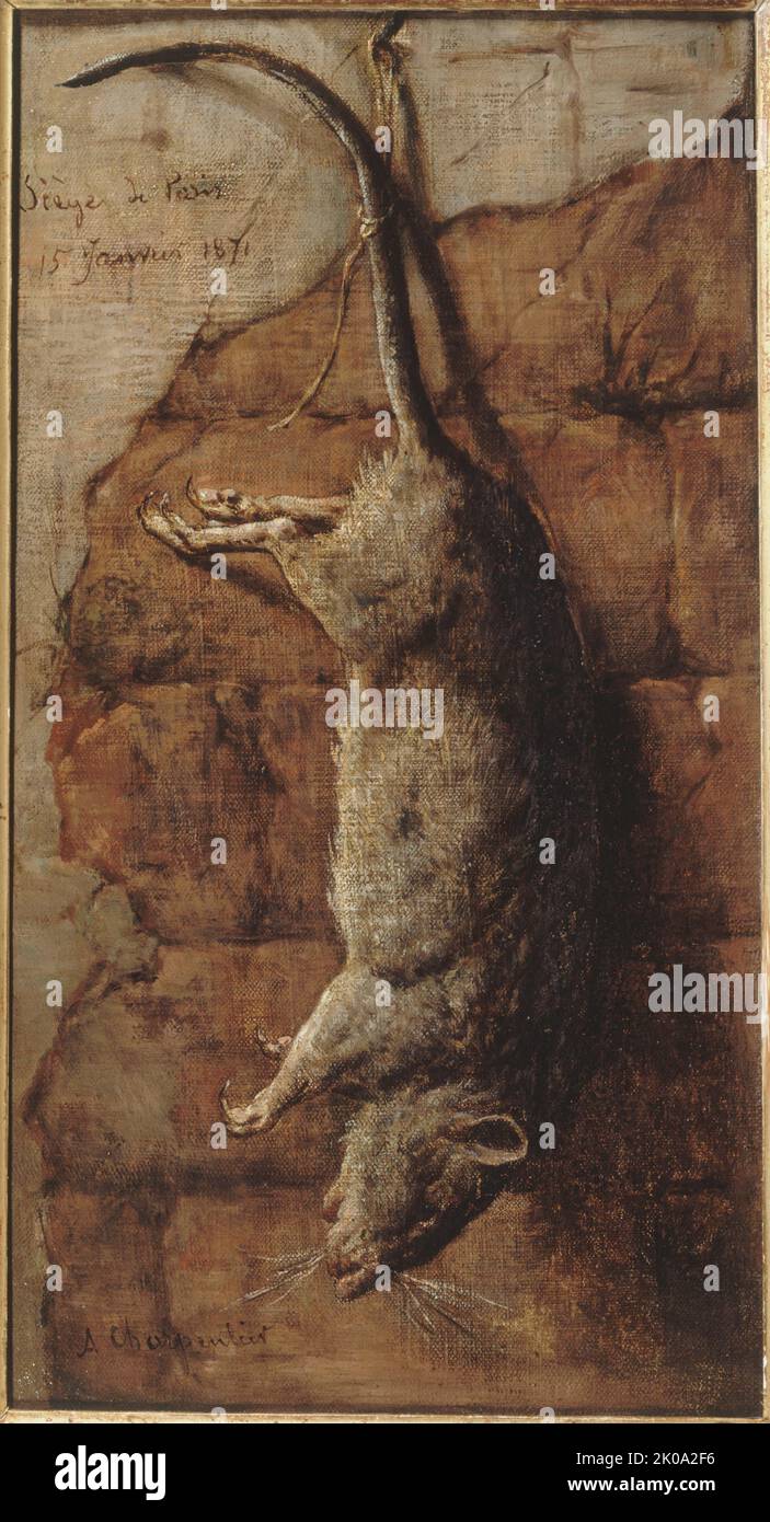 Dead rat hanging upside down hi-res stock photography and images - Alamy