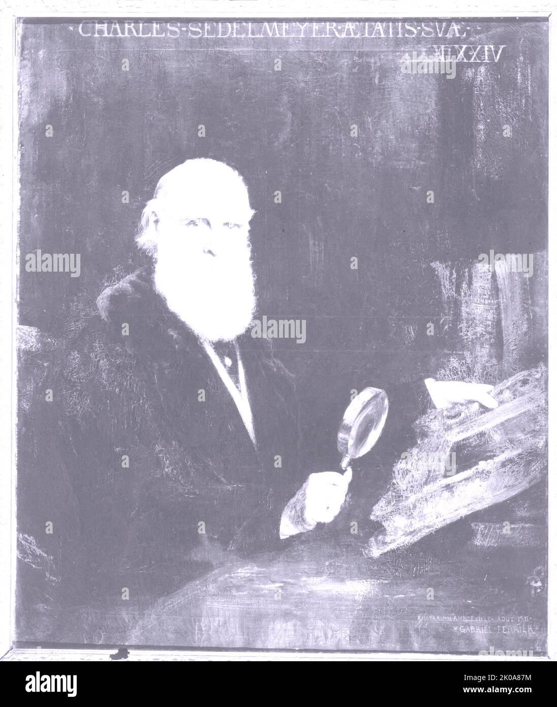 Portrait of Charles Sedelmeyer (1837-1925), art dealer, 1911 Stock Photo - Alamy