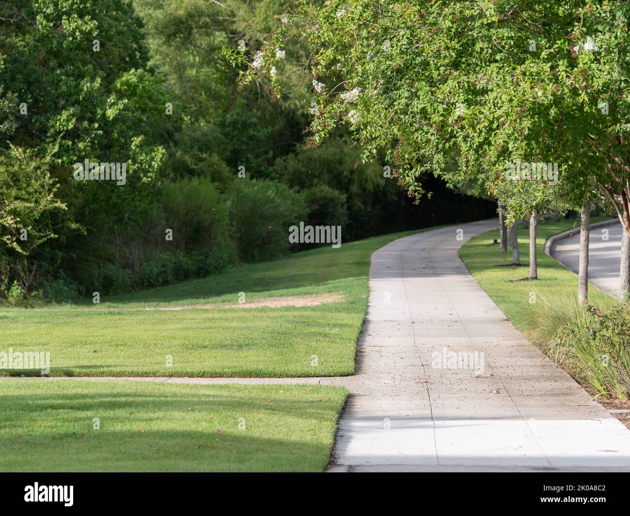 A sidewalk in town surrounded by grass and the lush green foliage of ...