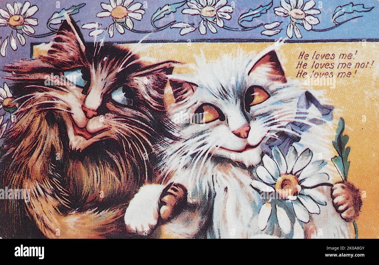 A pair of typical French cats with their almond-shaped eyes ...