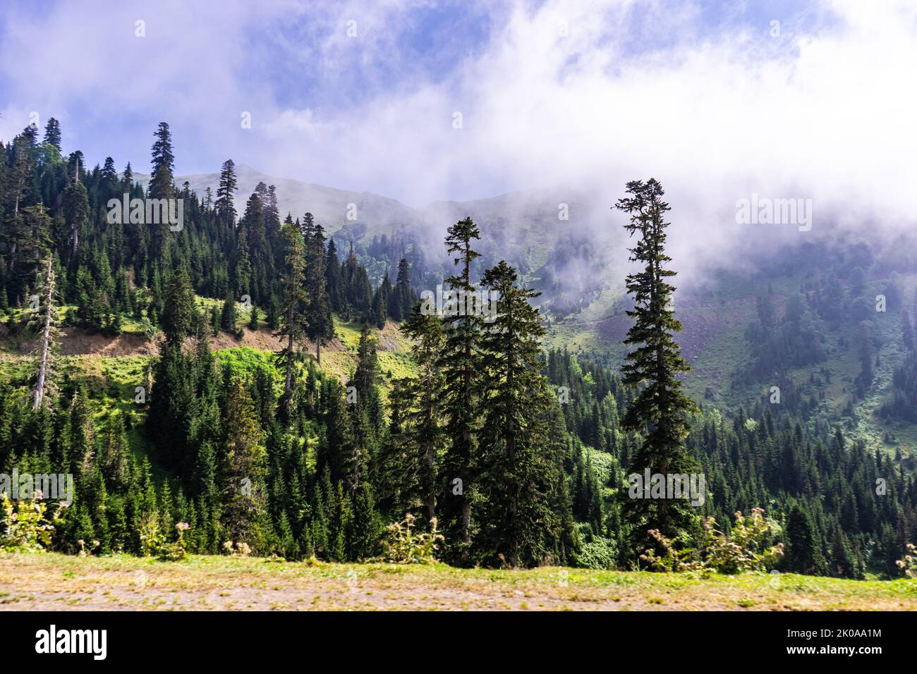 Mountain landscape in famous recreation zone of Guria region in western ...