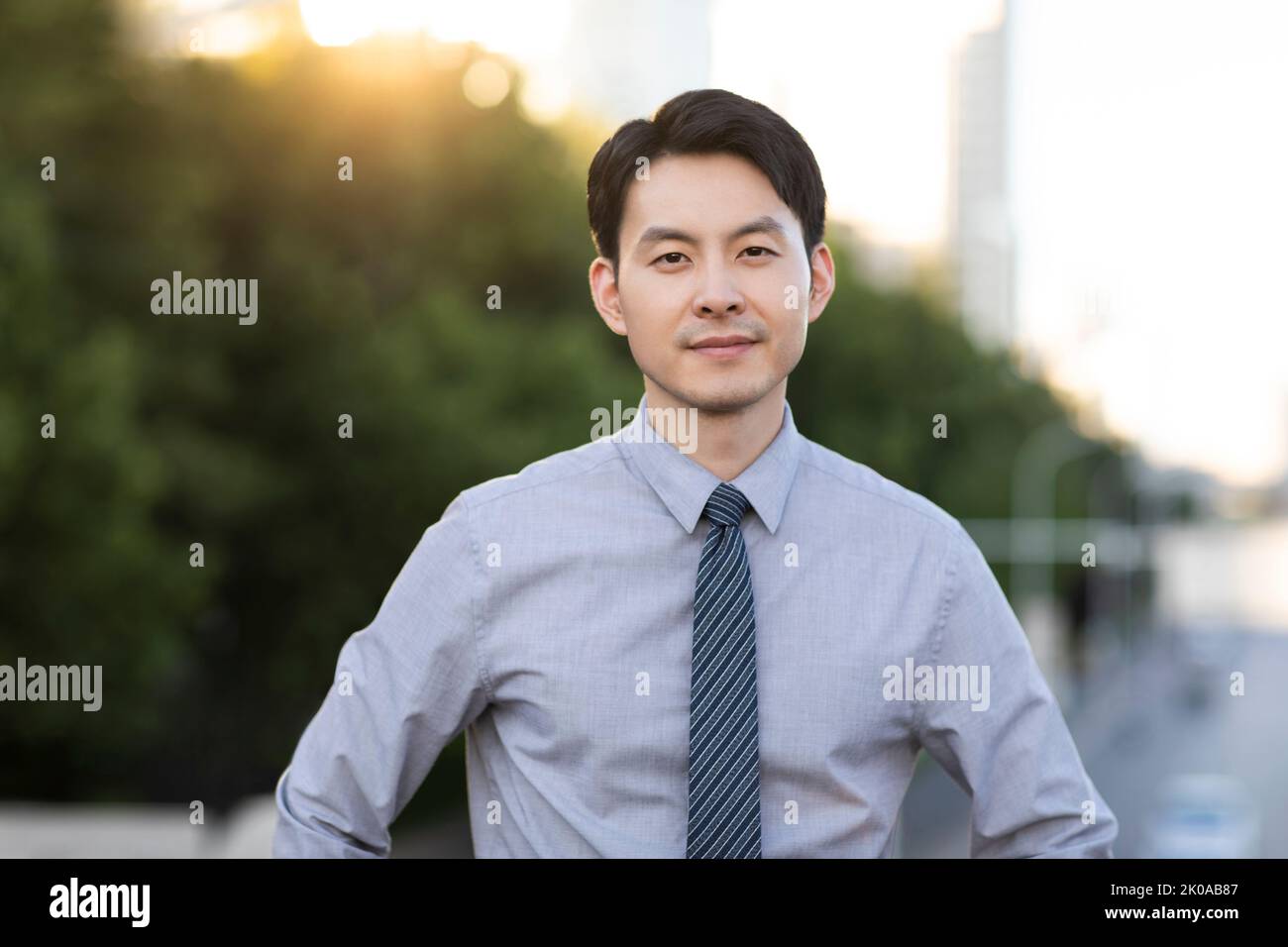 Portrait of confident Chinese businessman Stock Photo - Alamy