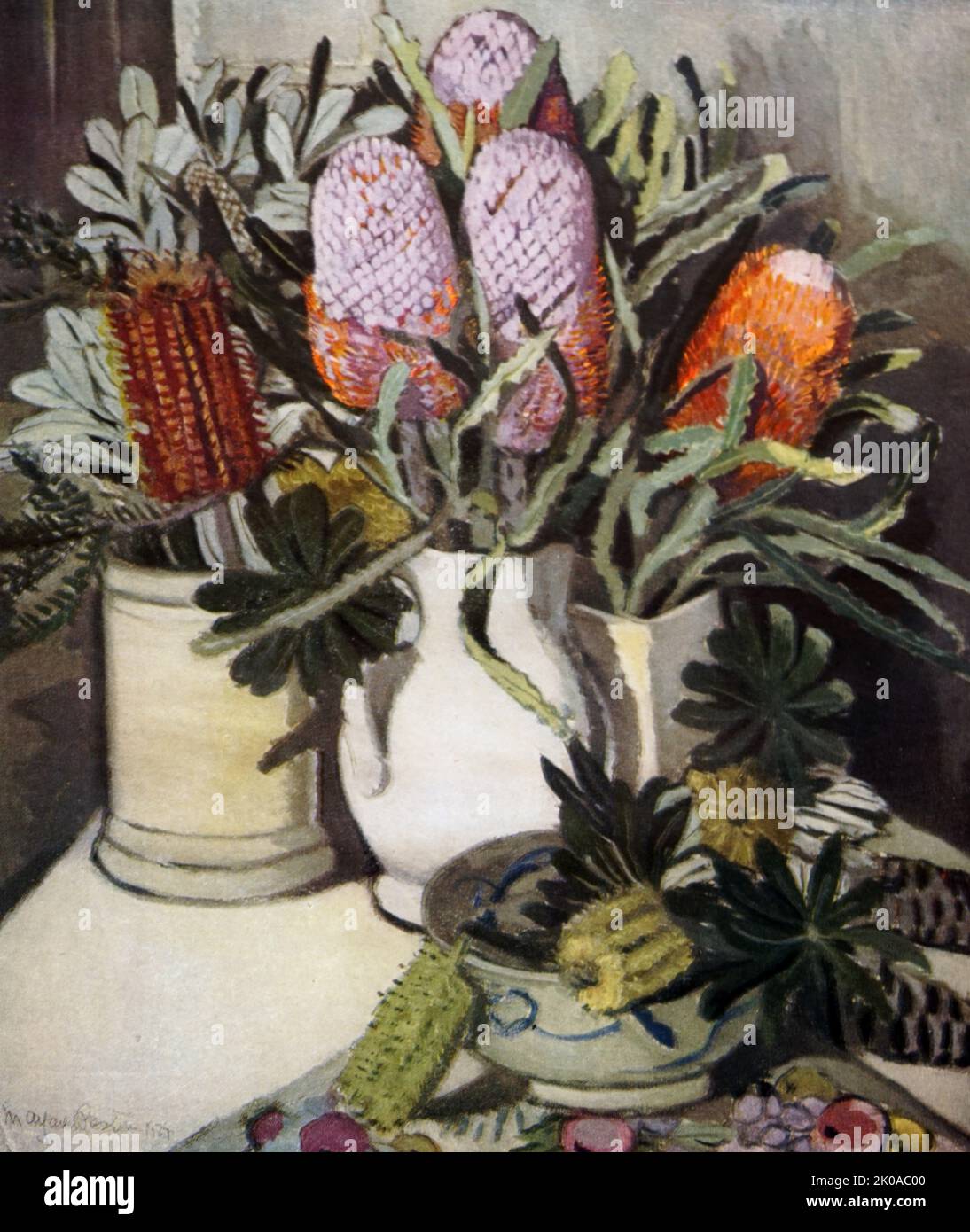 Australian banksia painting hi-res stock photography and images - Alamy