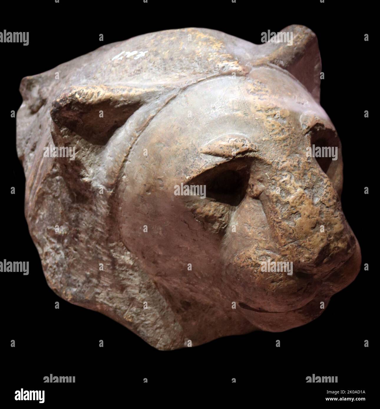 Carved sculptured head of an animal Stock Photo - Alamy