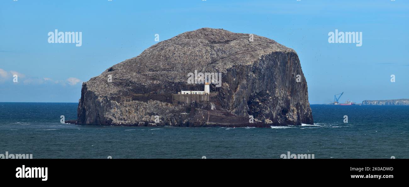View of Bass Rock Stock Photo - Alamy