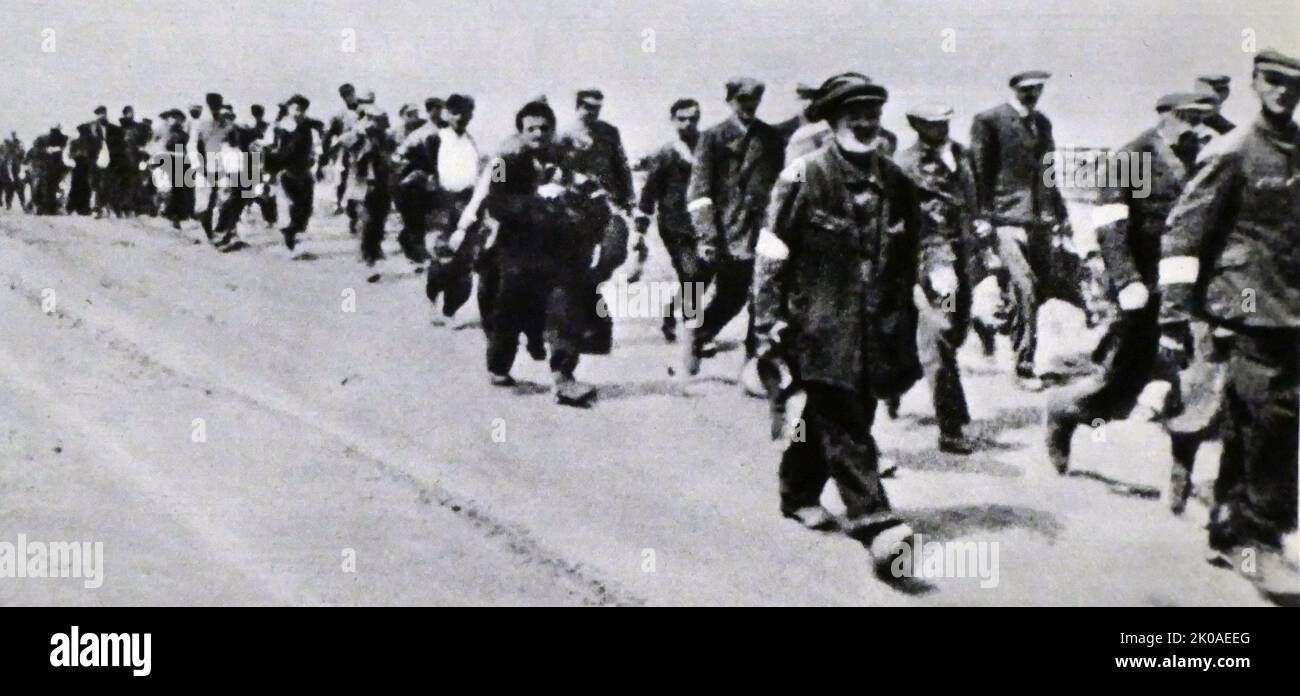 A column of Jews, driven on foot to the Auschwitz extermination camp ...