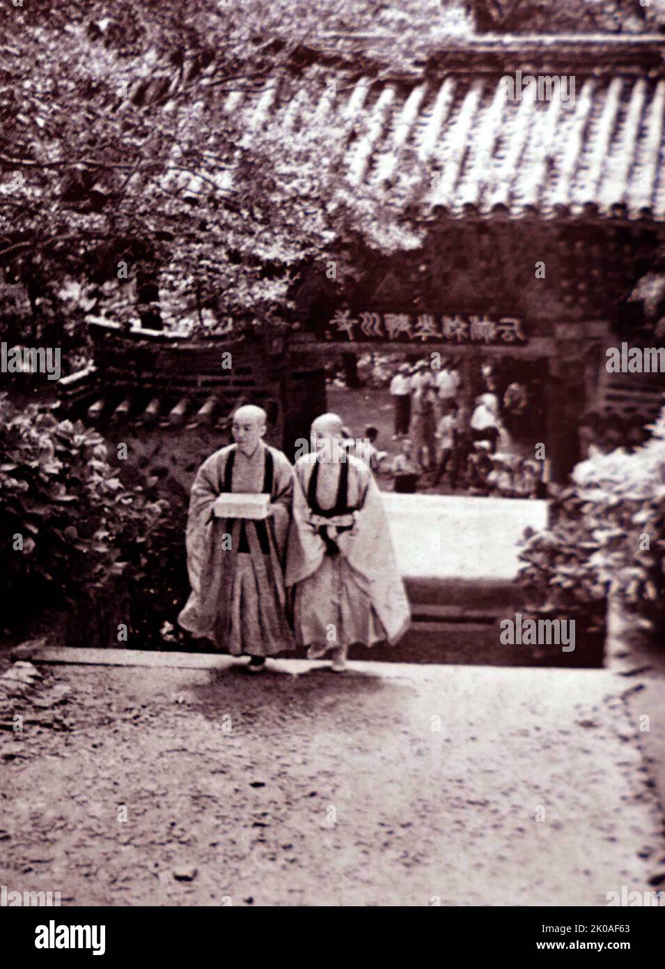 Bhikkhuni (Pali) or bhiksuni female nuns at a Buddhist Temple in South ...