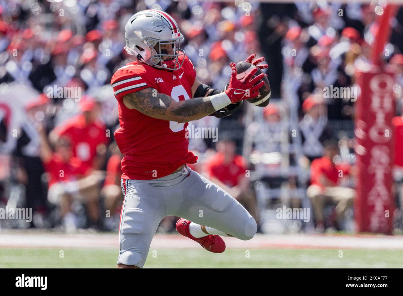 Columbus, Ohio, USA. 10th Sep, 2022. Ohio State Buckeyes tight end Cade ...