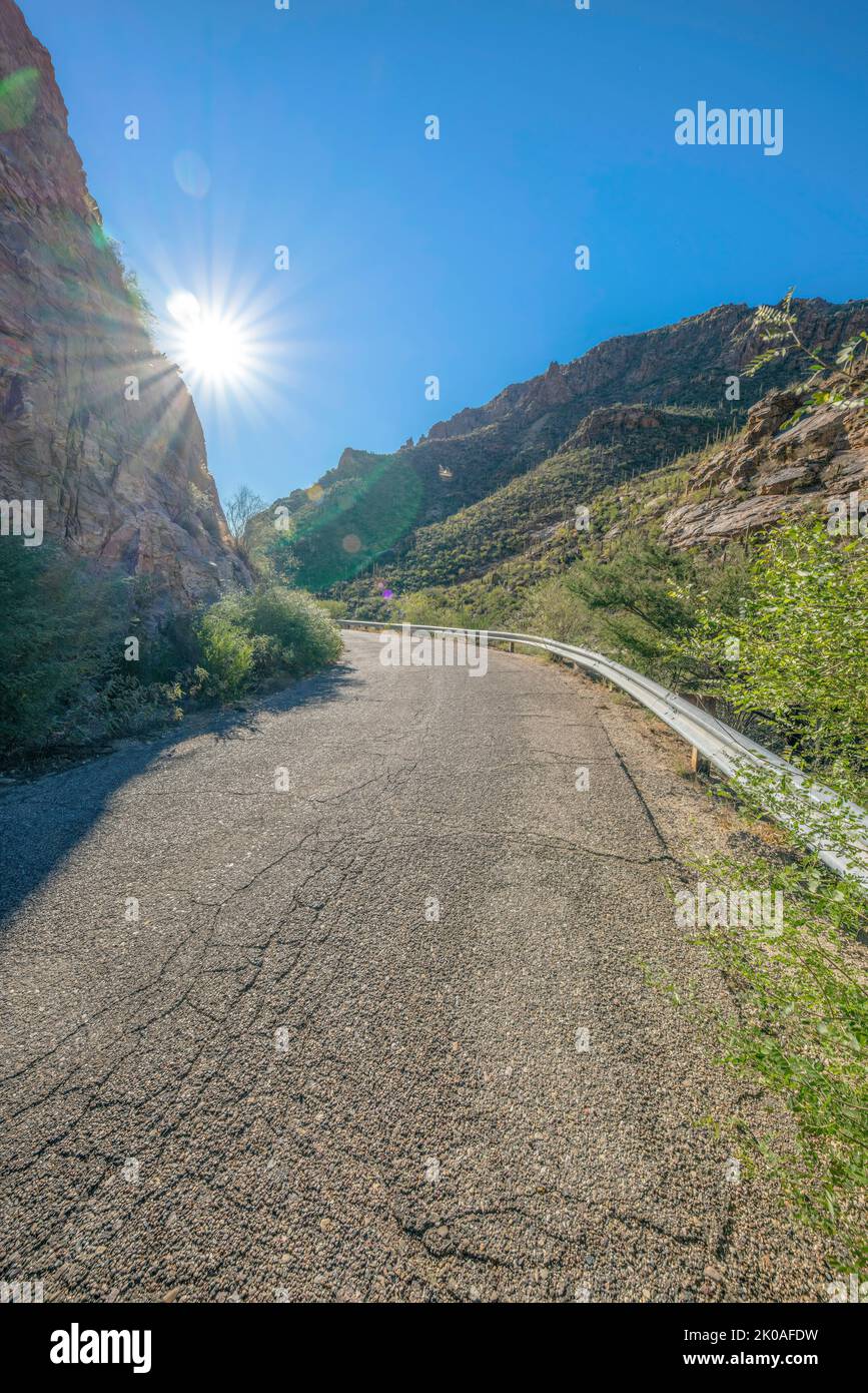 Curved road with sun peeking beside the rocky slope at Sabino Canyon ...
