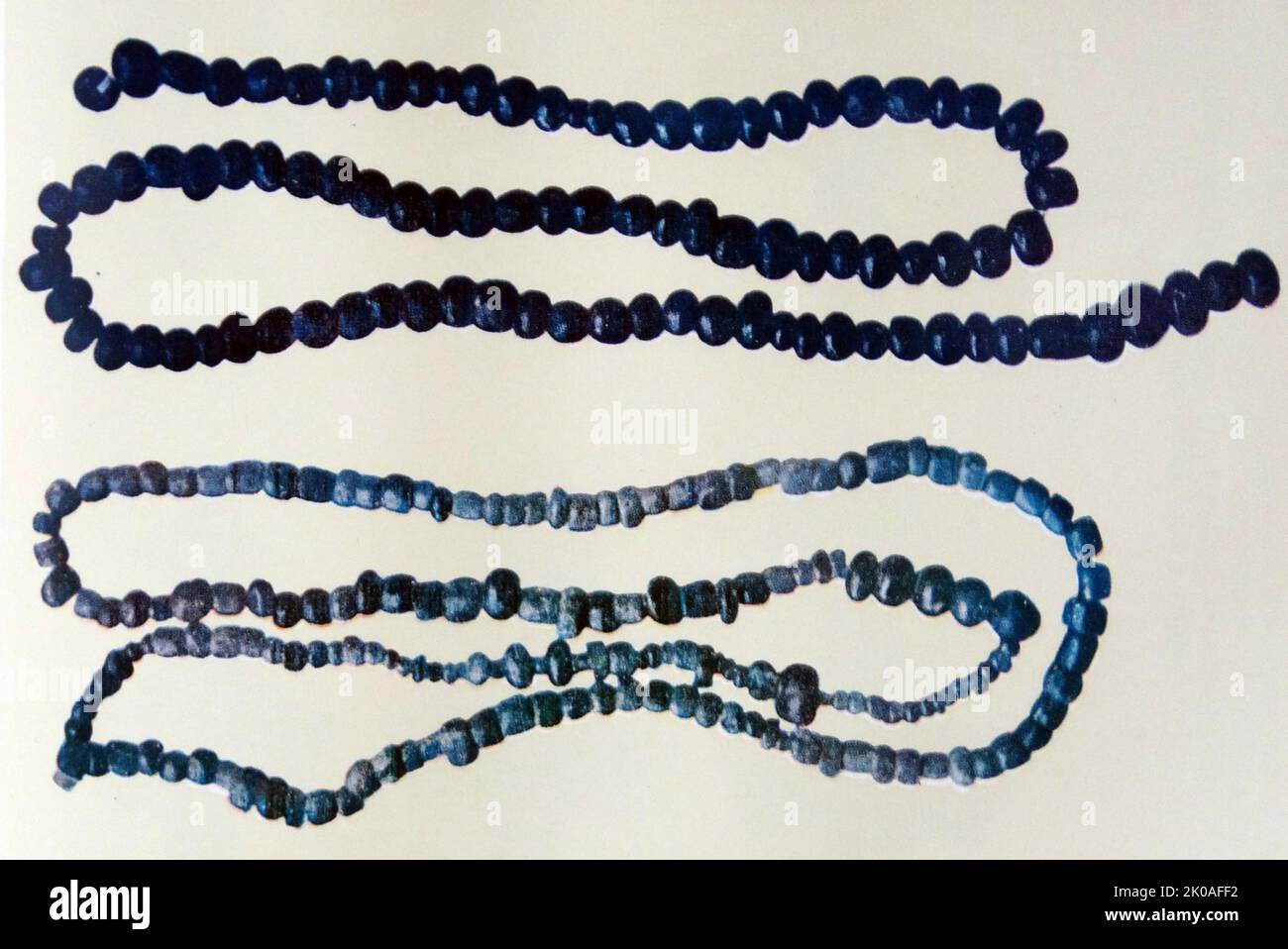 Keum gwan chong hi-res stock photography and images - Alamy