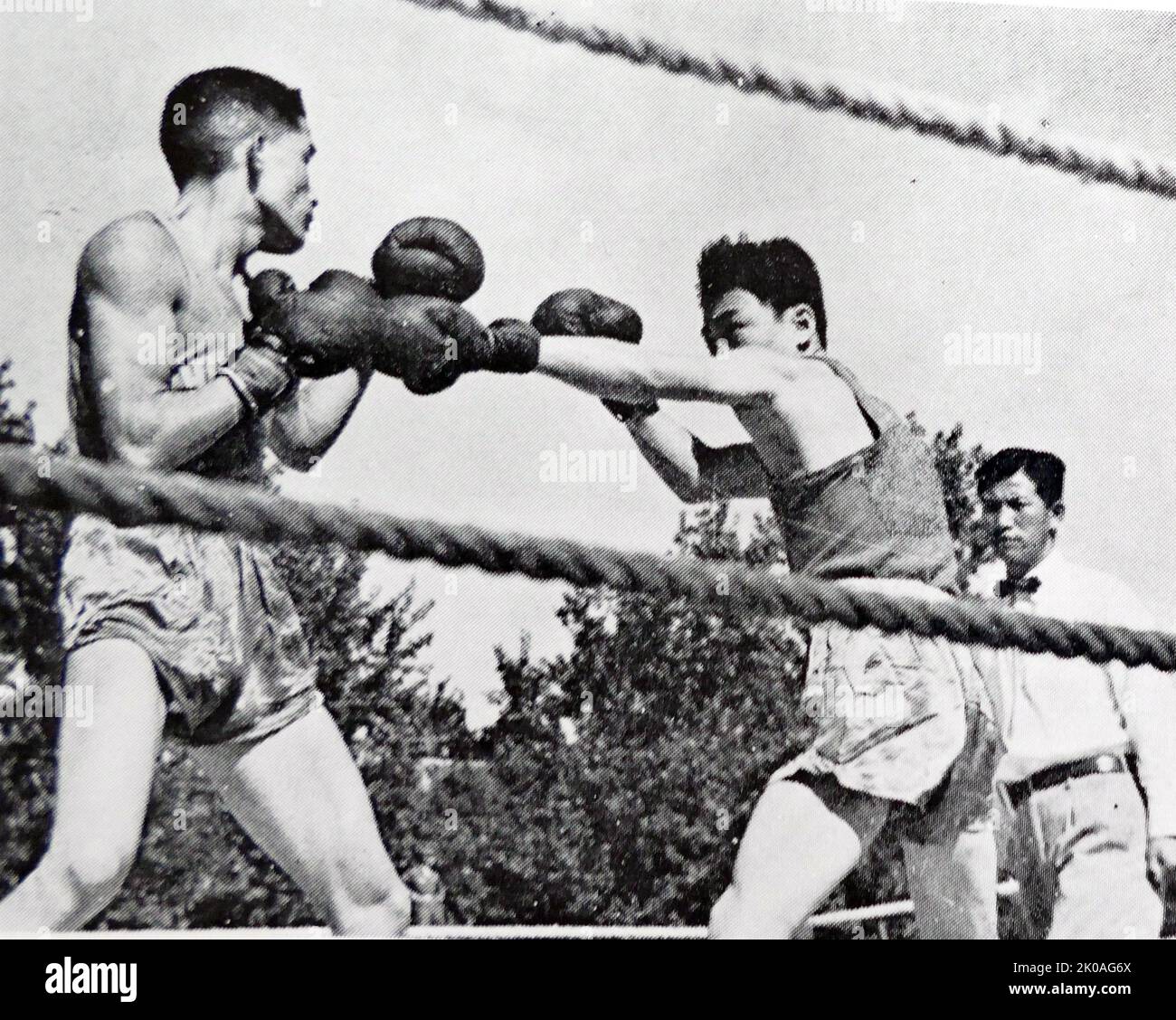 Korean men boxing on a ring Stock Photo - Alamy