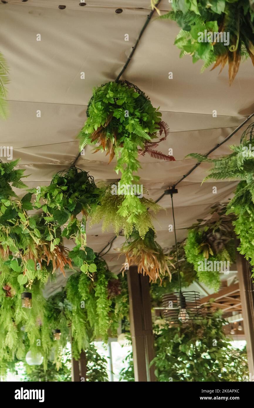 Cafe interior with elements of biophilic design. The ceiling is ...