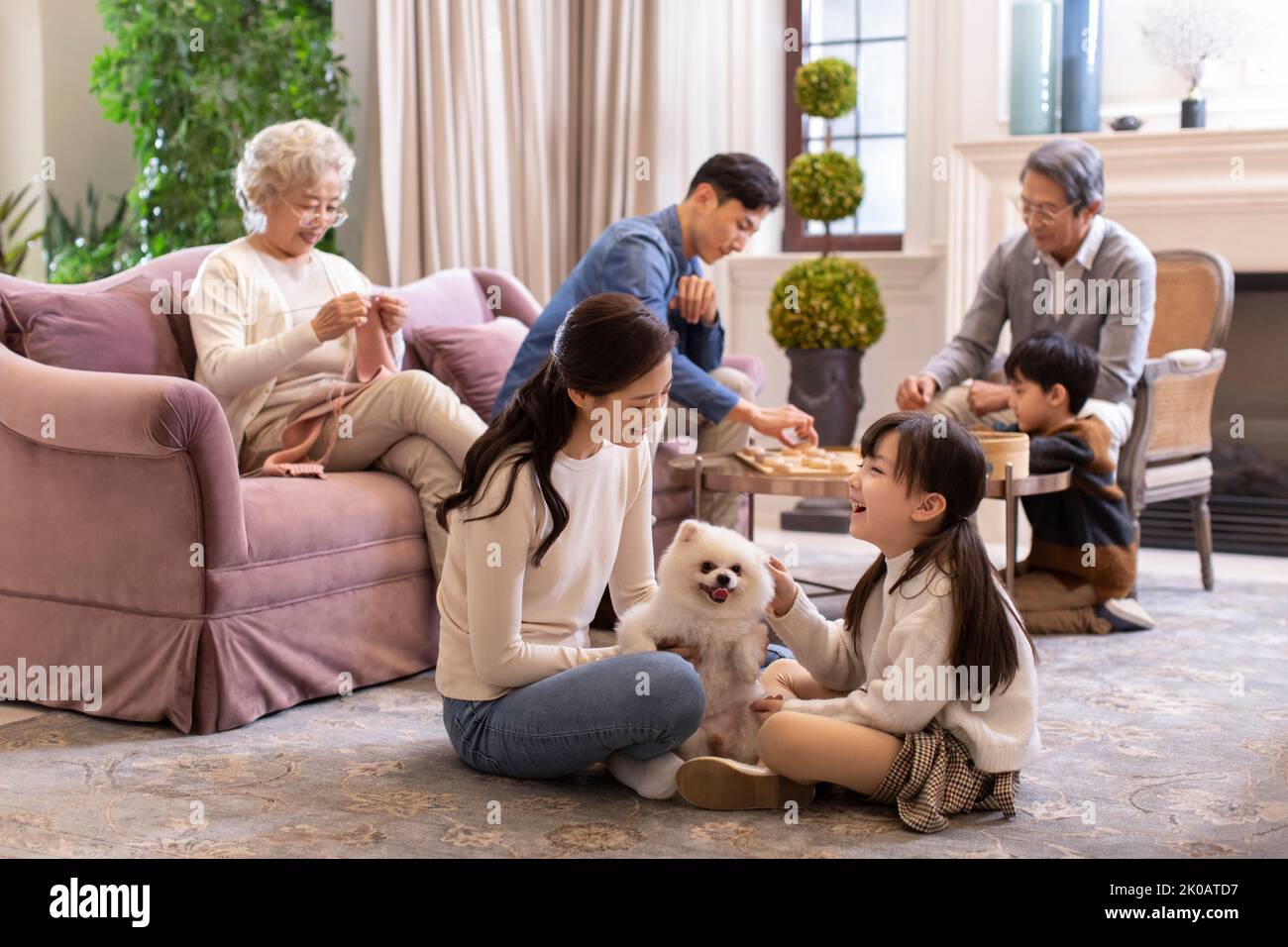Chinese mother and son dog hi-res stock photography and images - Alamy