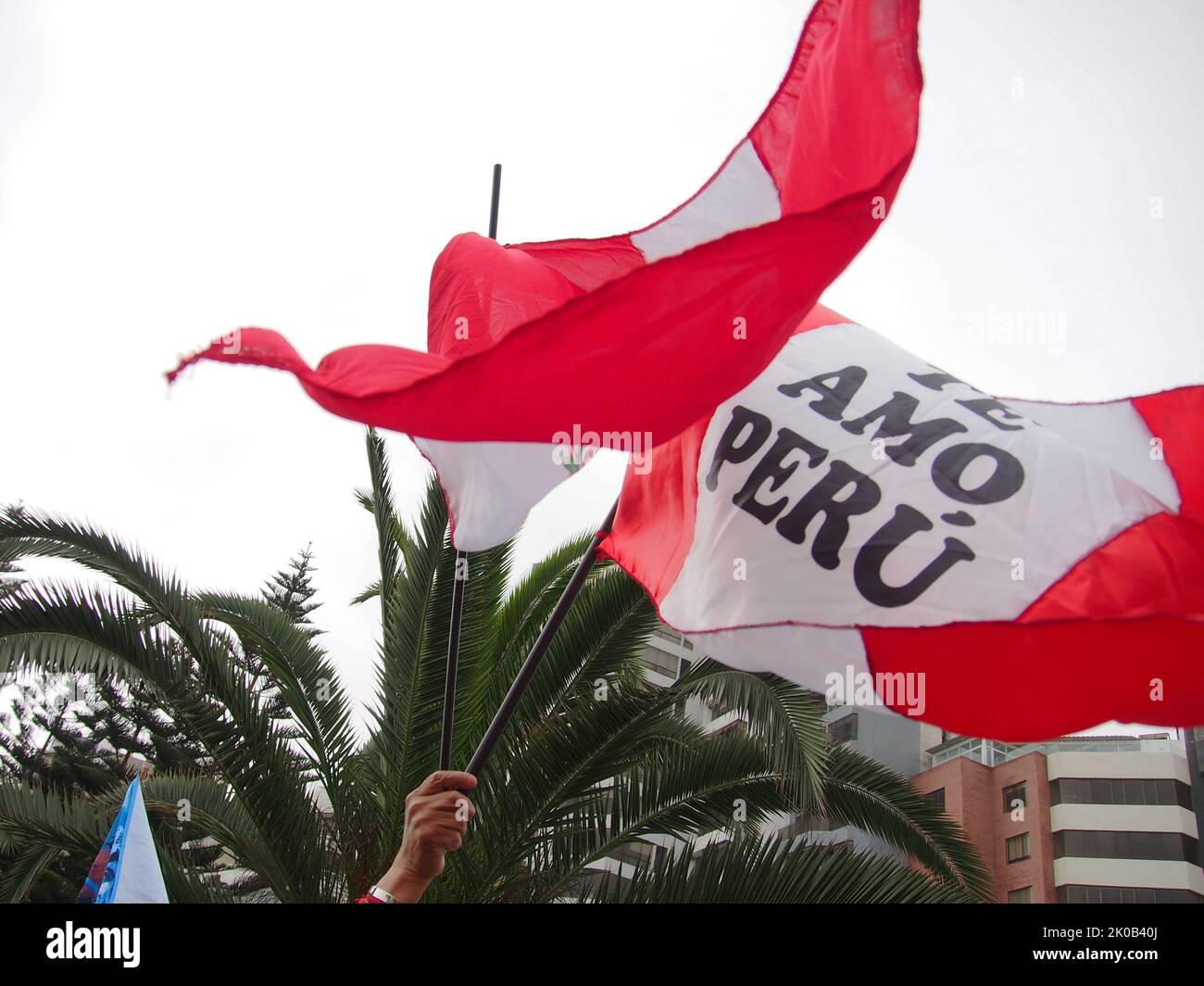 "I Love You Peru" can be read in a Peruvian flag when hundreds gather ...