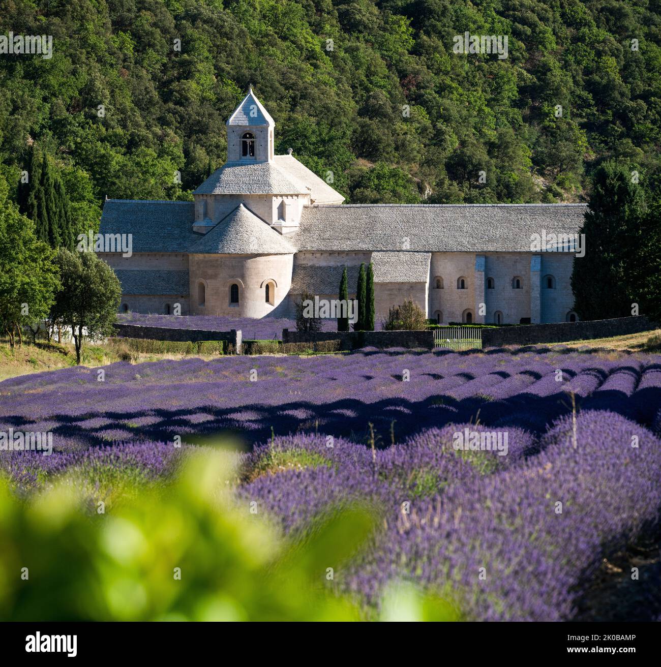 Abbaye Senanque, Provence, France, Europe Stock Photo - Alamy