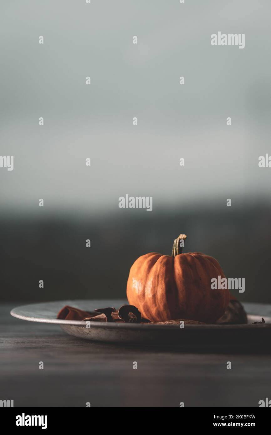 Fun objects hi-res stock photography and images - Alamy