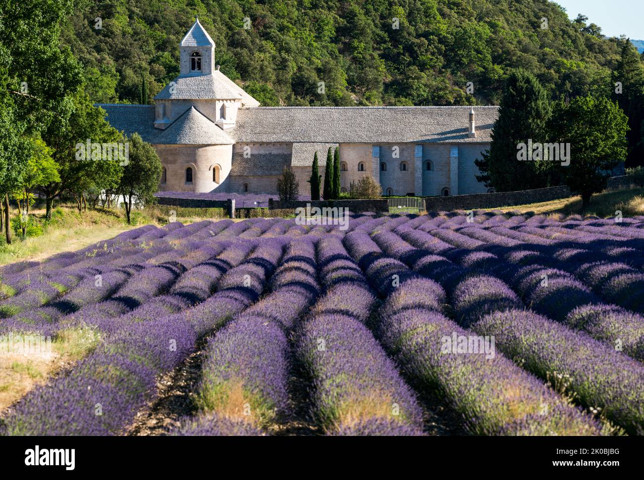 Abbaye Senanque, Provence, France, Europe Stock Photo - Alamy