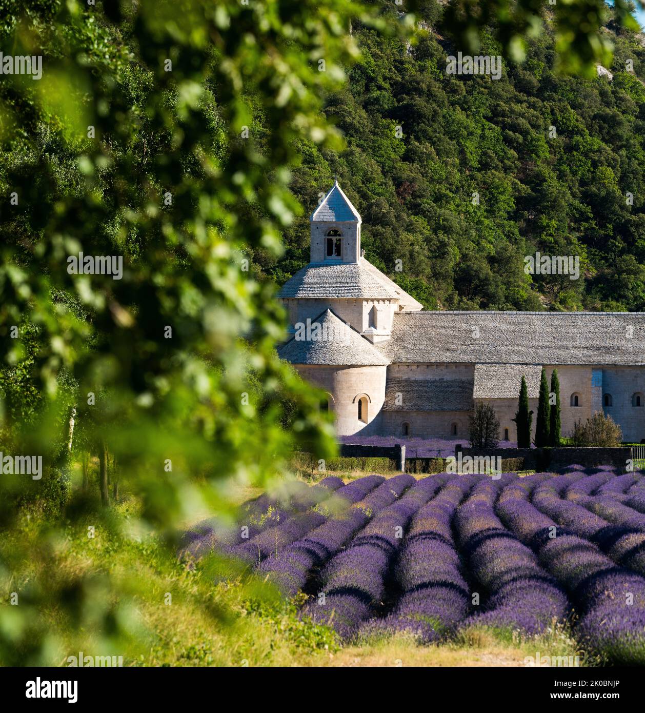 Abbaye Senanque, Provence, France, Europe Stock Photo - Alamy