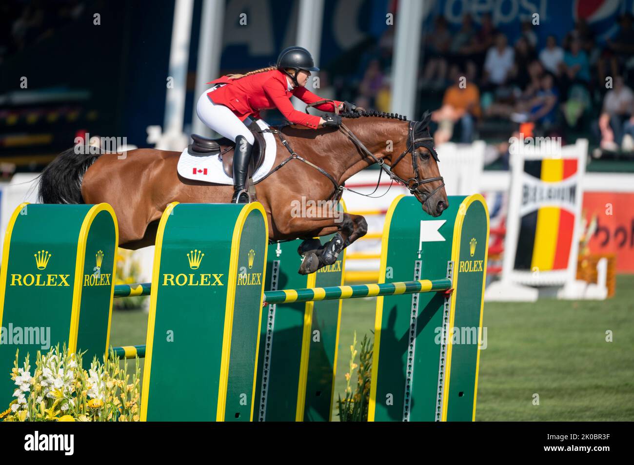 Jacqueline steffens daly hi-res stock photography and images - Alamy