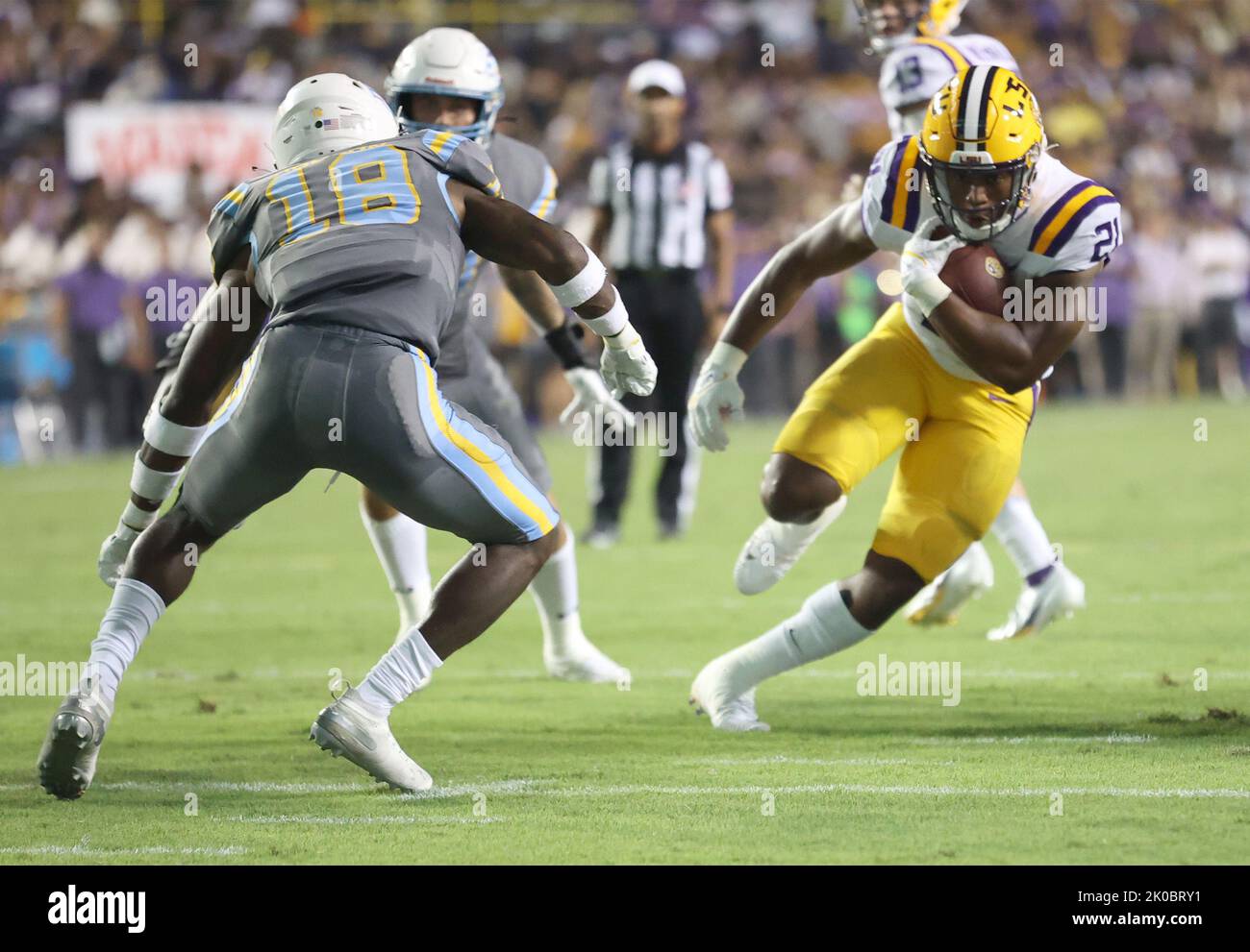 Tyler tiger hi-res stock photography and images - Alamy