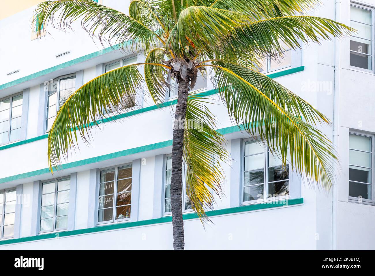 Closeup of typical colorful Art Deco architecture with tropical palm ...