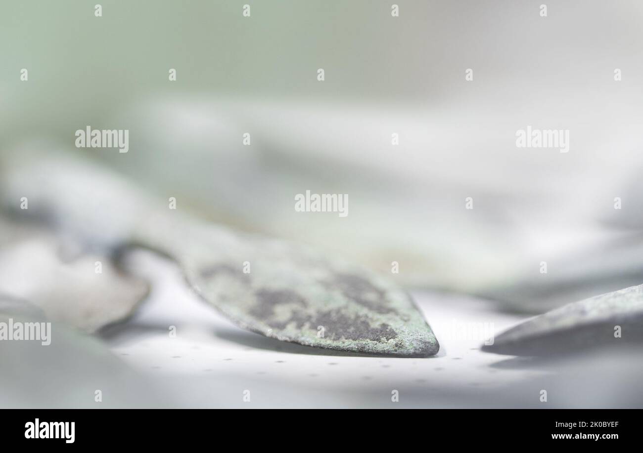 Defocused background. Copy space.. Ancient Scythian Bronze Arrowheads ...