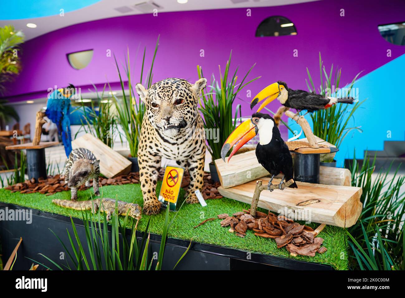 A view of the Bioparque Pantanal (Pantanal Aquarium), in Campo Grande ...