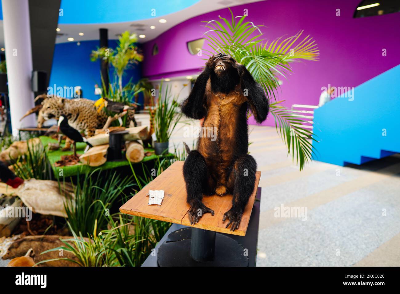 A view of the Bioparque Pantanal (Pantanal Aquarium), in Campo Grande ...