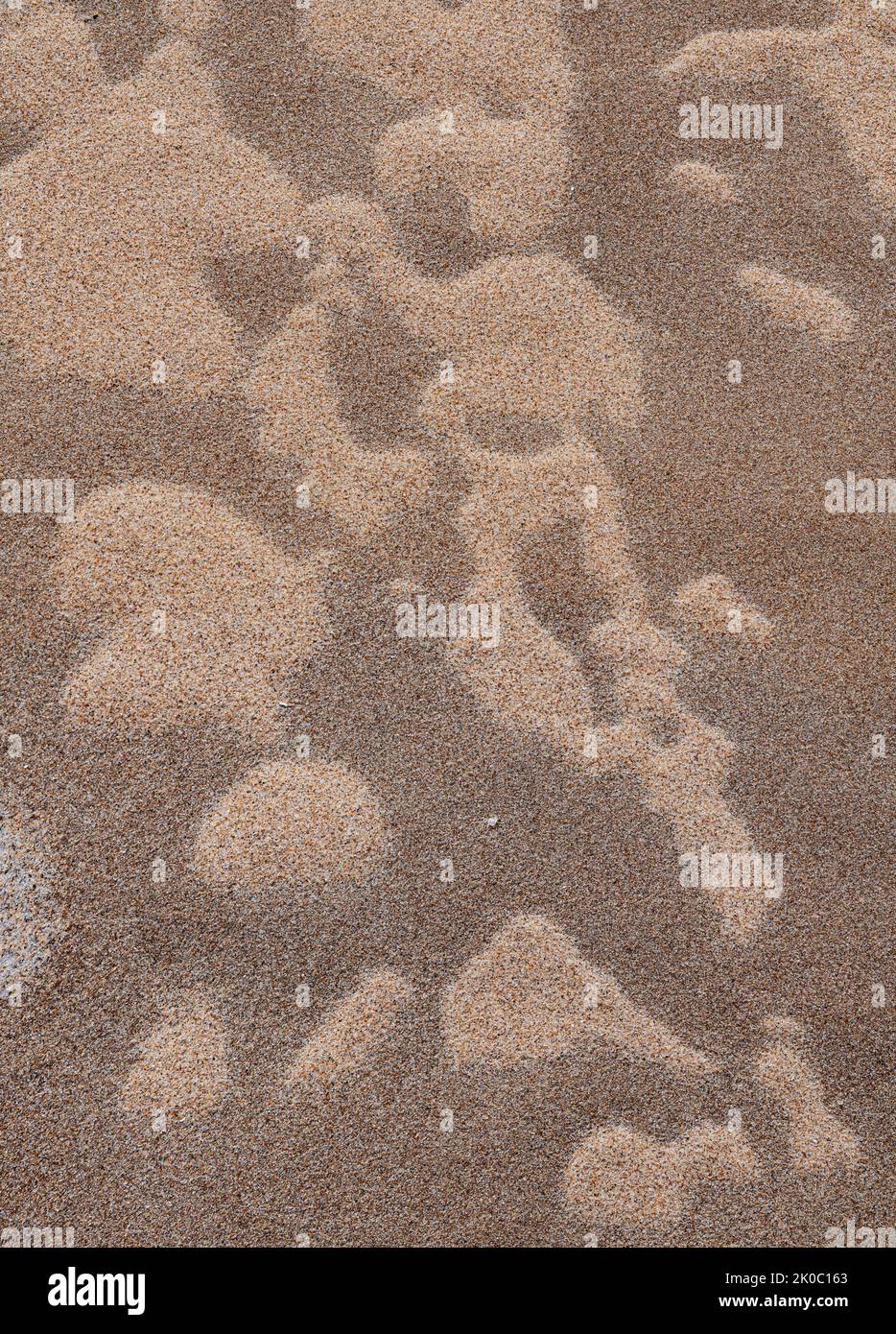 Dry and wet patches in the sand on the beach at Whitefish Dunes State ...