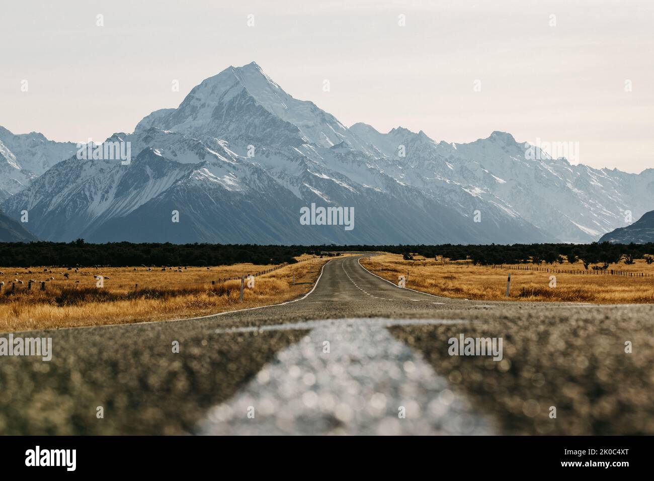 View of the majestic Aoraki Mount Cook with the road leading to Mount ...