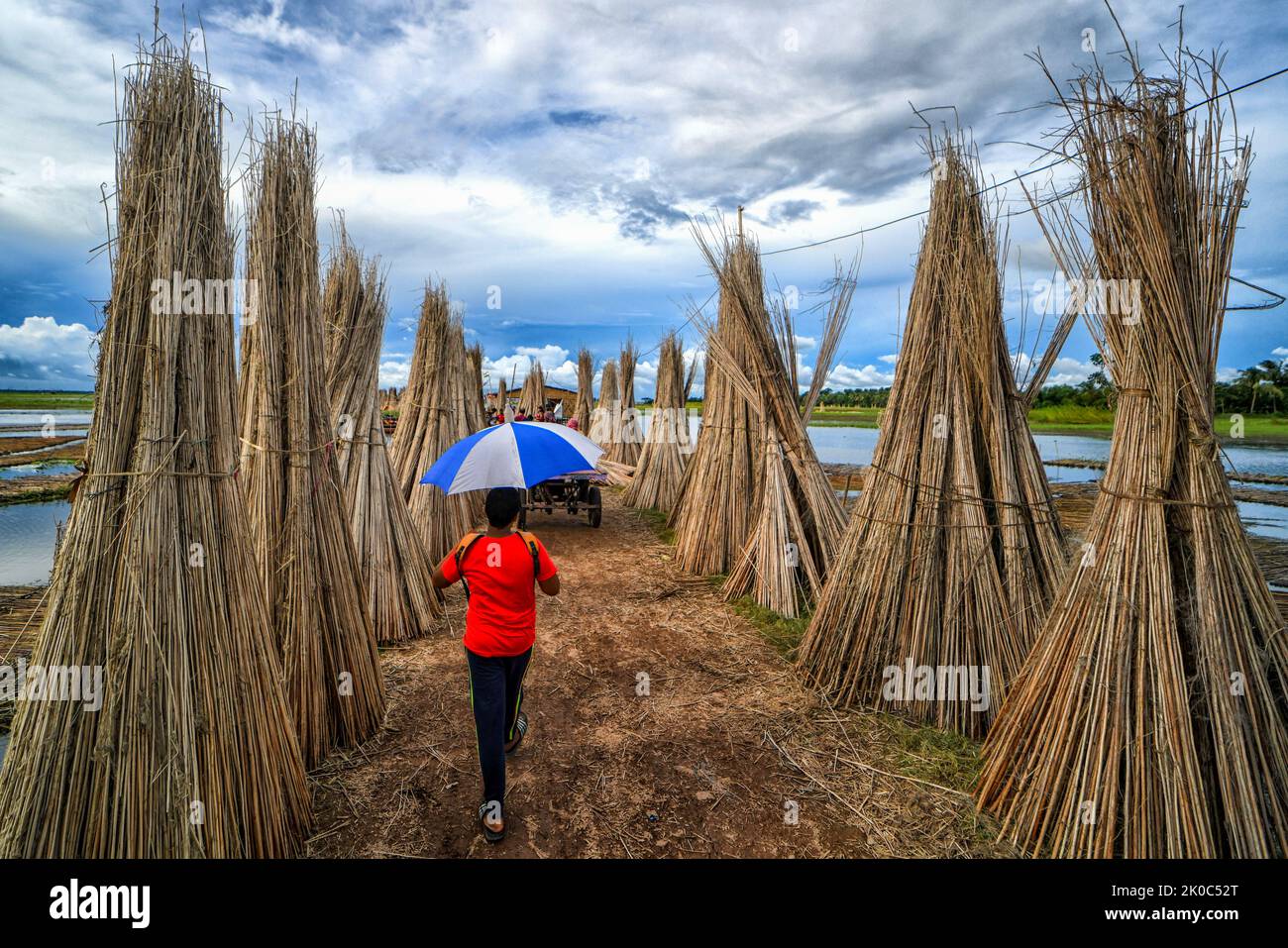 Barasat, India. 10th Sep, 2022. A man seen walking with colourful ...