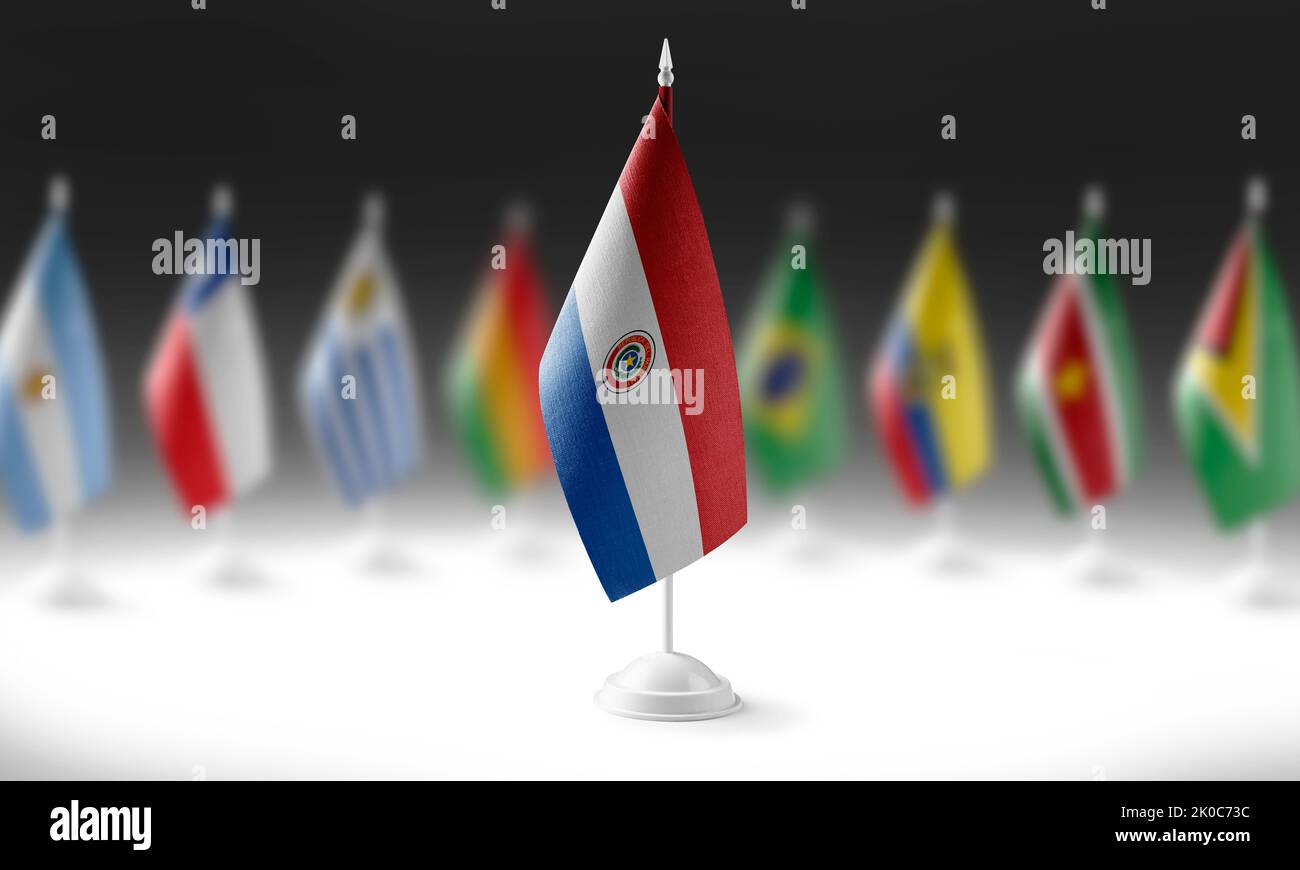 The national flag of the Paraguay on the background of flags of other ...