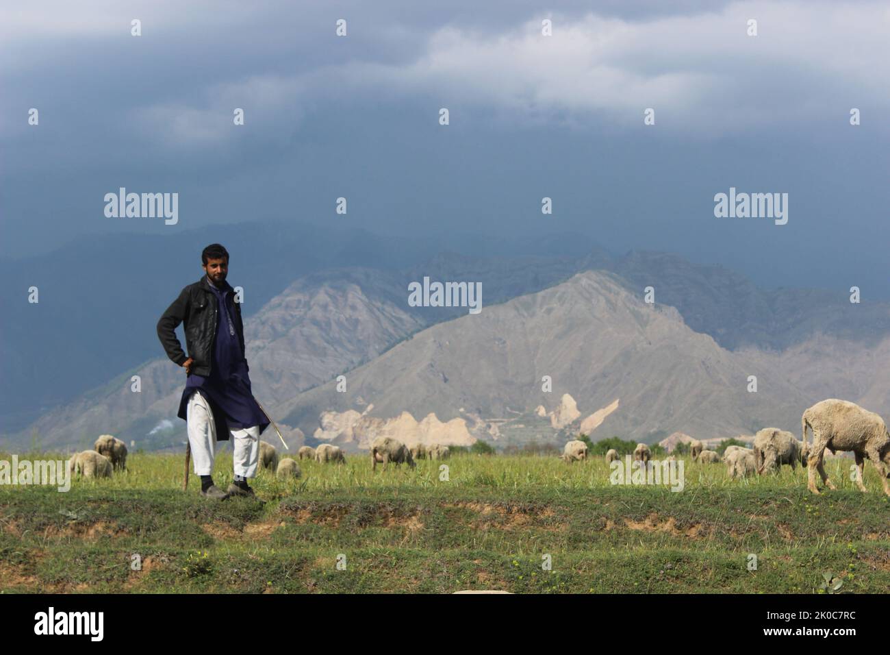 September 10, 2022, Pampore, Jammu and Kashmir, India: Pampore in ...