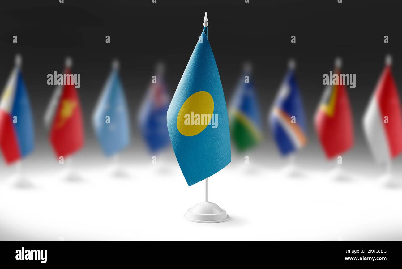 The national flag of the Palau on the background of flags of other ...
