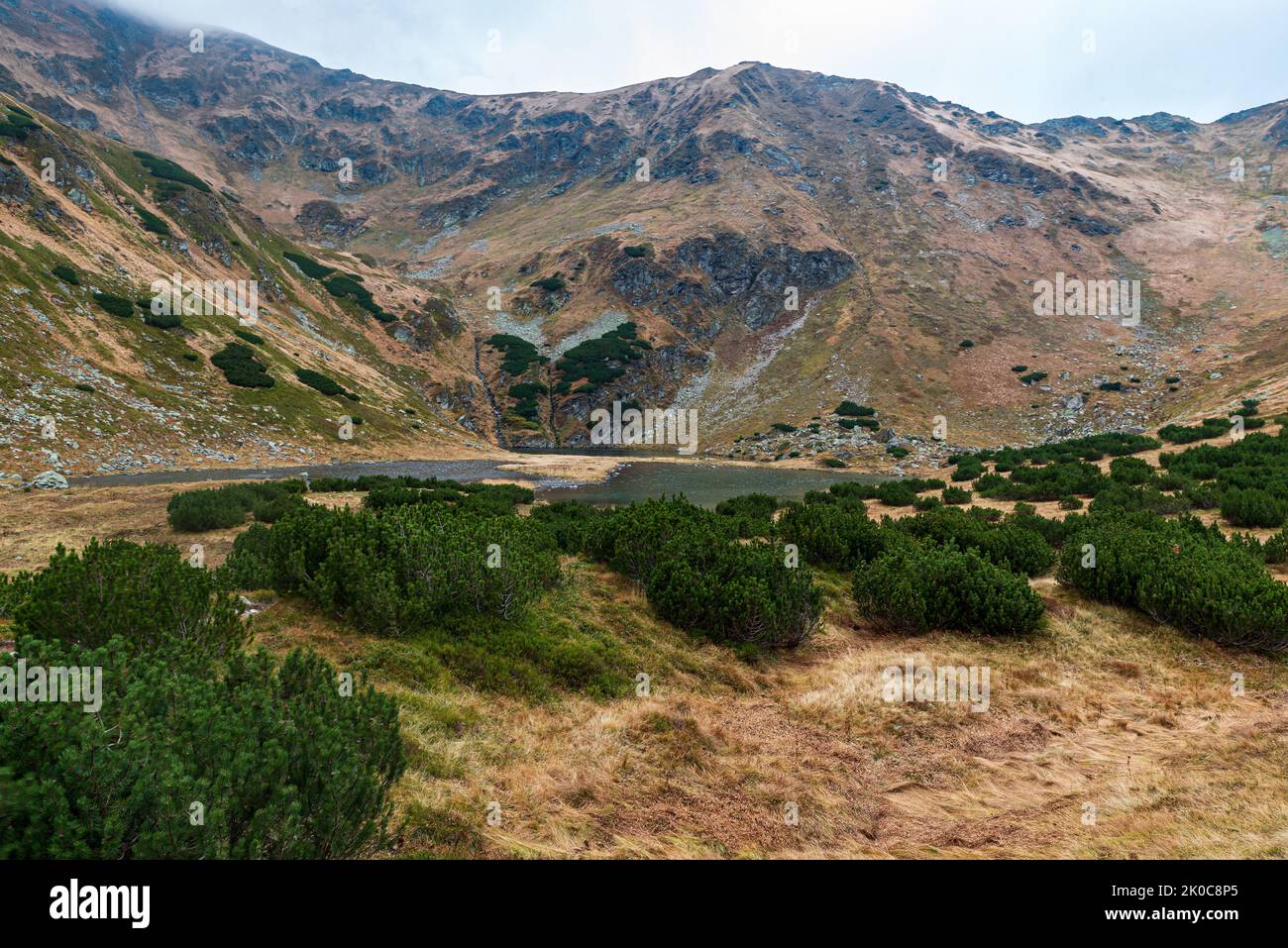 Rakove plesa hi-res stock photography and images - Alamy