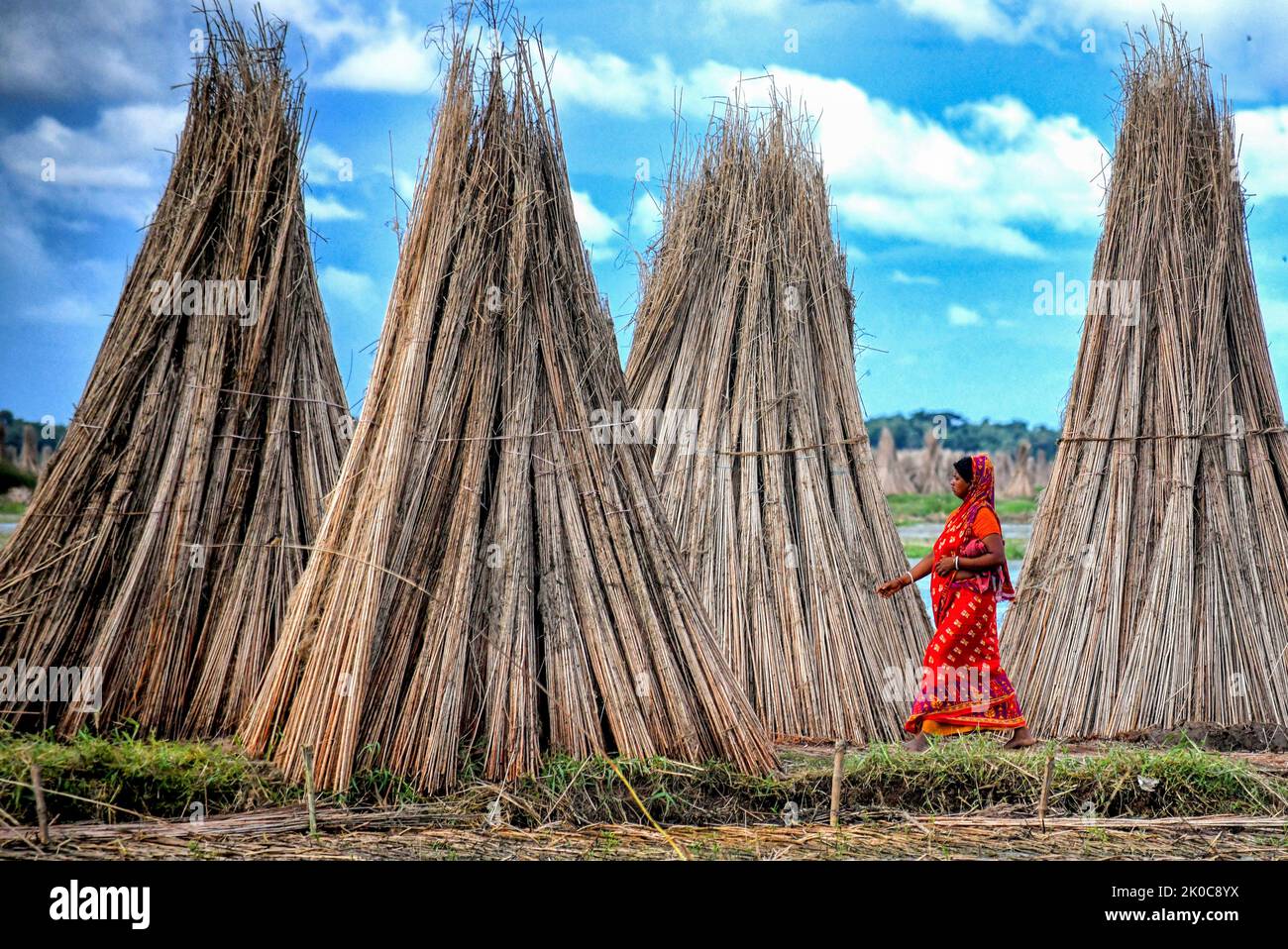 North 24 parganas west bengal hi-res stock photography and images - Alamy