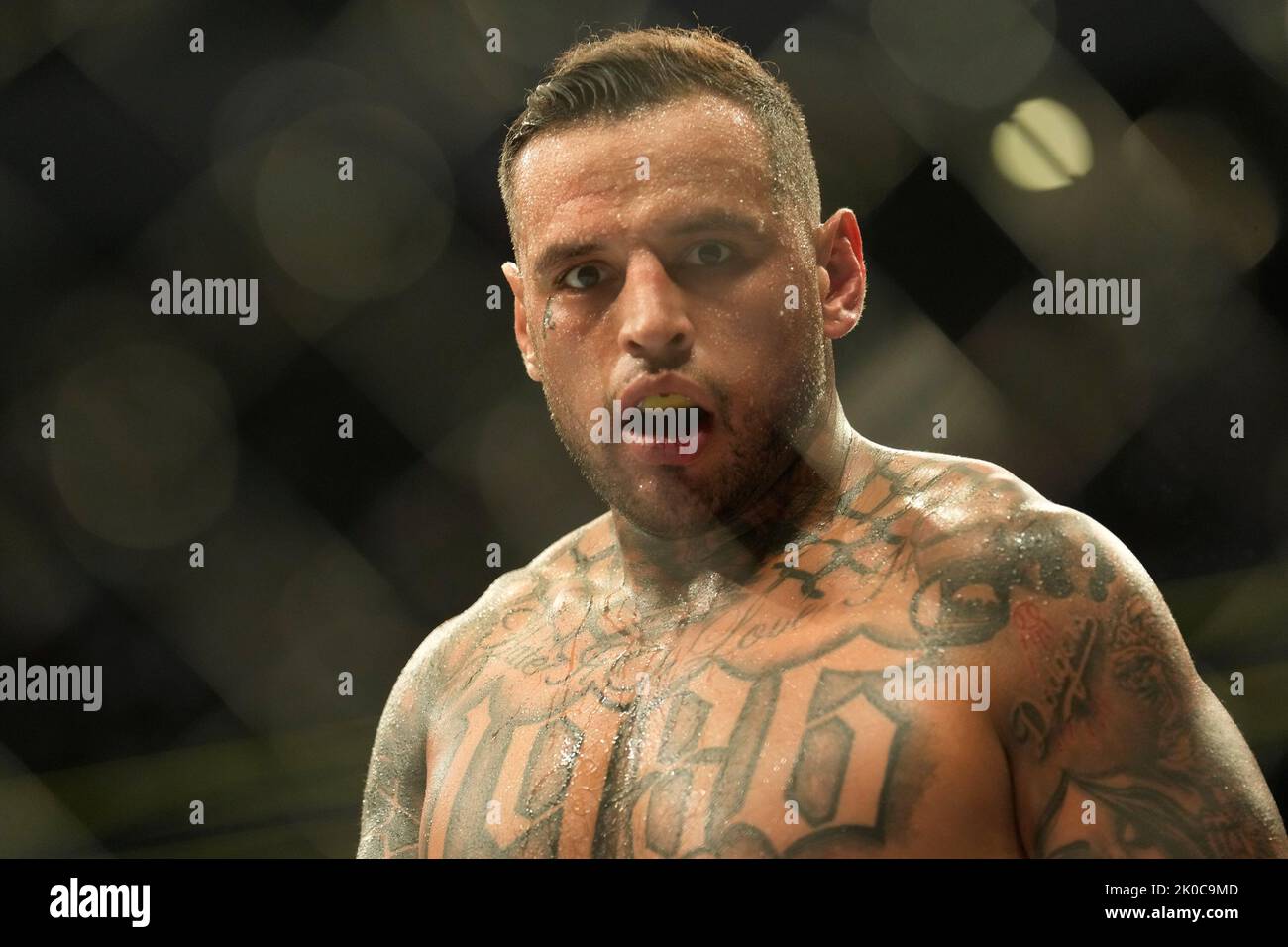 Li jingliang and daniel rodriguez hi-res stock photography and images ...