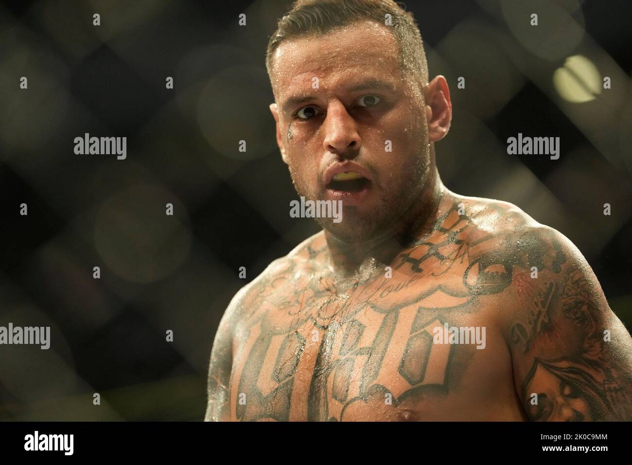 Li jingliang and daniel rodriguez hi-res stock photography and images ...