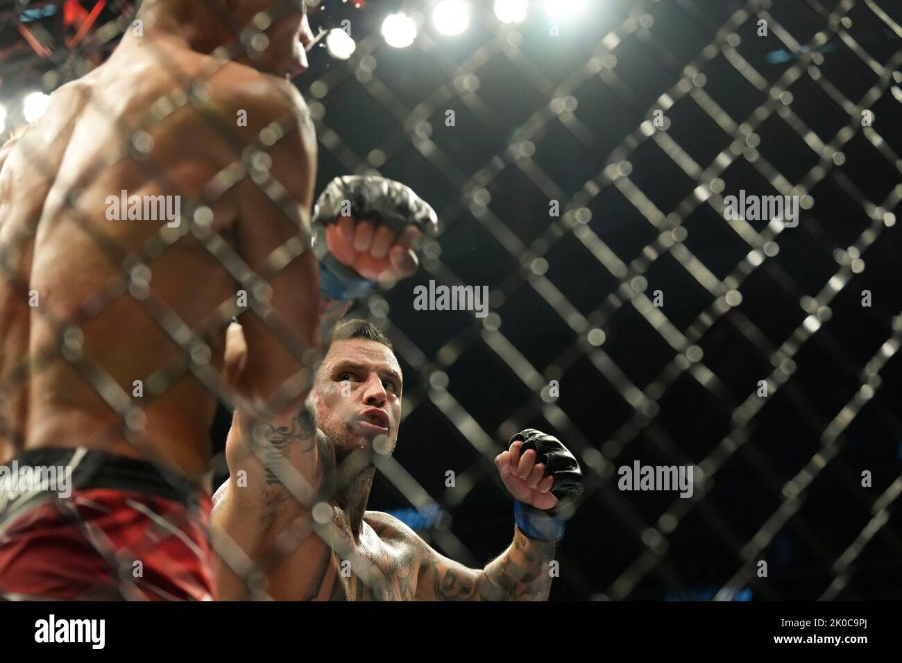 Li jingliang and daniel rodriguez hi-res stock photography and images ...