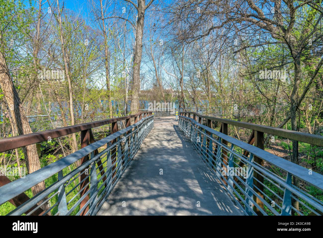 Austin, Texas- Boardwalk near the river in the middle of trees. Bike ...