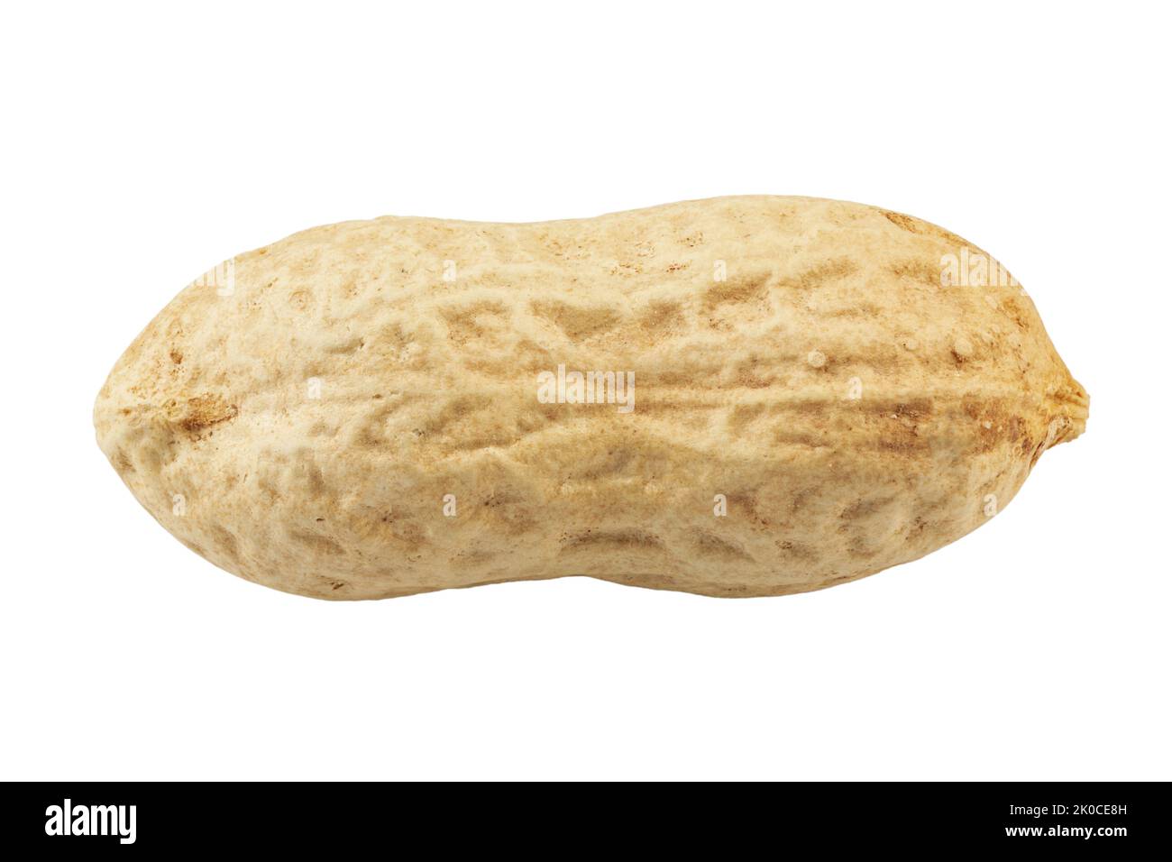 Single peanut in nutshell isolated on white background. Top view. File contains clipping path ...