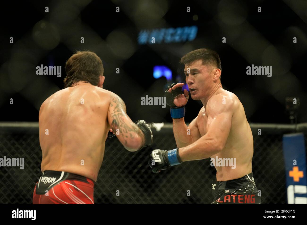 Chad anheliger l and alatengheili r hi-res stock photography and images ...